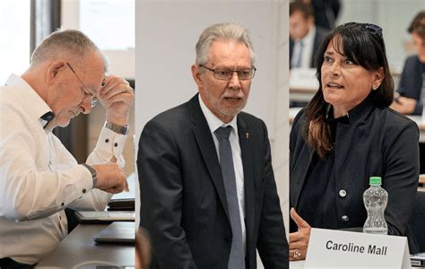 Absetzung Der Fraktionsspitze Die Baselbieter Svp Ist «ein Tollhaus