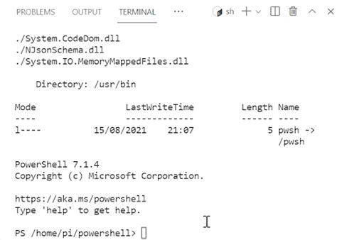 How To Run Powershell In Vs Code With A Raspberry Pi Pdq