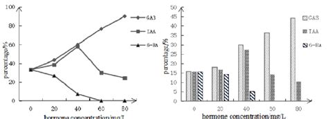 Effect Of Different Hormone Concentrations On Germination Rate