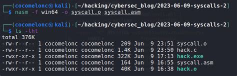 Malware Development Trick Part 33 Syscalls Part 2 Simple C