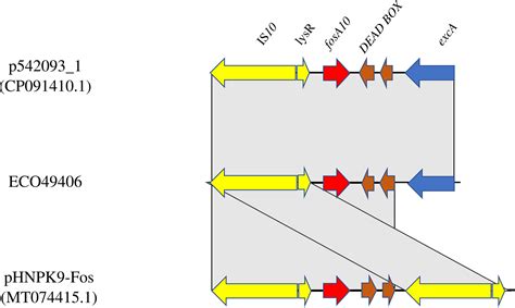 Polyclonal Spread Of Fosfomycin Resistance Among Carbapenemase Producing Members Of The