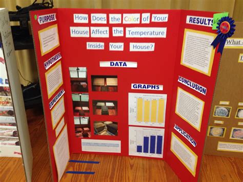 Science Fair Ideas To Win