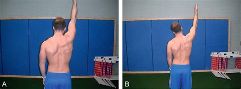 Levator Scapula Muscle Length Test A Standing The Athlete Performs Download Scientific