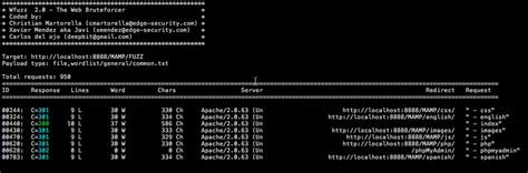 Edge Security Group Wfuzz