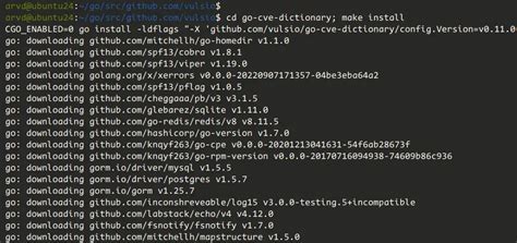 How To Install And Use Vuls Vulnerability Scanner On Ubuntu 2404
