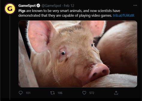 Happy Dank Rishu Noises R Dankrishu