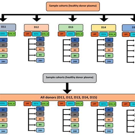 two way hierarchical clustering analysis using euclidean distance and