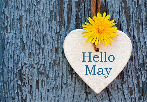Rodeos Pond Skims Things To Do In May In Nevada County