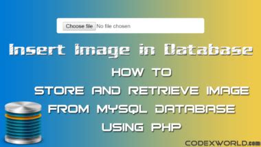 Autocomplete Textbox With JQuery UI Using PHP And MySQL CodexWorld