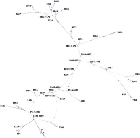 Topology Of The Predicted Consensus Secondary Structure Of The Hiv 1 Download Scientific