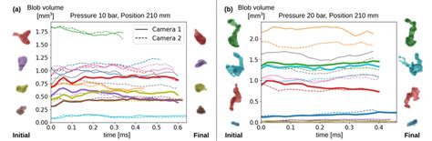 Estimation Of Blob Volumes From The Calibrated Data Over Time The