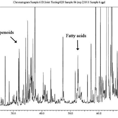 An Example Of A Total Ion Chromatogram Tic Of The Total Particulate