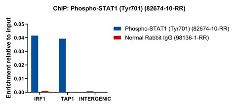 Phospho Stat1 Tyr701 Antibody 82674 10 Rr Proteintech