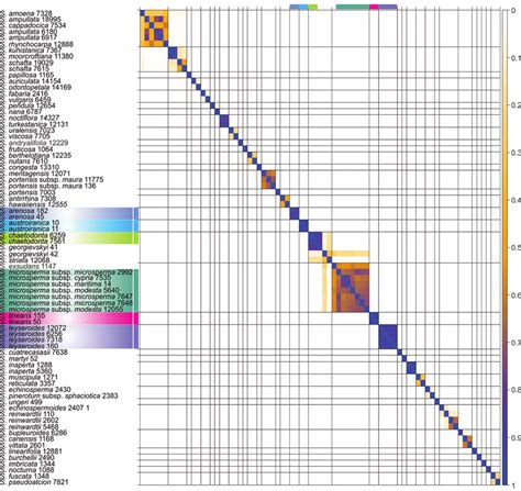 Similarity Matrix Calculated Using SpeciesDelimationAnalyser V