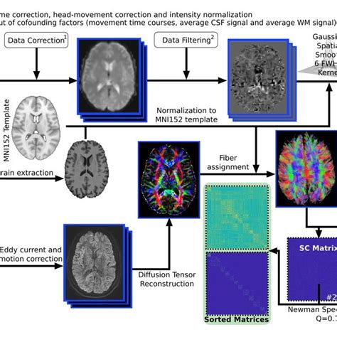 Neuroimage Preprocessing Pipeline Triple Acquisitions Were Performed