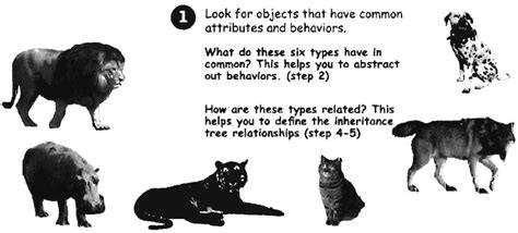 Java Fundamental Part 9 Inheritance And Polymorphism