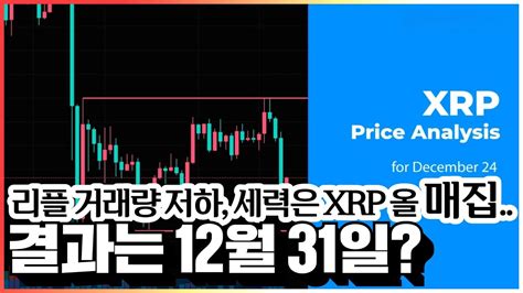 리플 거래량 저하 이 틈을 노리는 세력의 뚜렷한 Xrp 매집세 결과는 12월 31일” 리플 비트코인 이더리움 Youtube