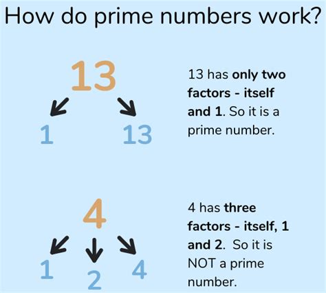 What Is A Prime Number Maths Matters