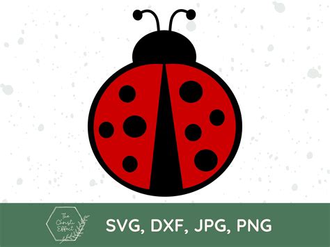 Lady Bug Svg Png  Insect Svg Bug Svg Preschool Or Kindergarten Svg Teacher Svg Classroom