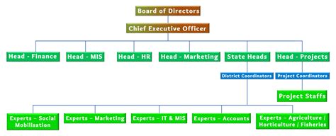 Organization Chart Basix Krishi Samruddhi Limited