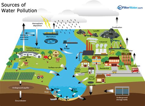 Water Pollution Effects On Health And Sustainability Thrive Project