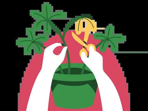 2 Pruning Icons Illustrations Free In Svg Png Eps Iconscout