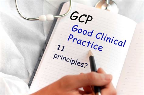 Are There Really 12 Principles In The New Gcp E6 R3 Training Online 4u