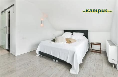 Tips Mencari Kost Murah Bagi Mahasiswa Baru Yang Merantau