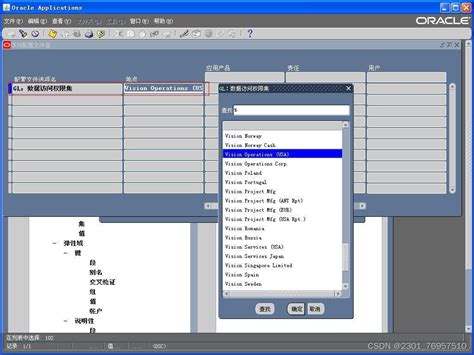 oracle ebs 基础设置要点简介（1） oracle ebs系统 csdn博客