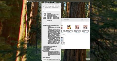 How To Open The Properties Of A File Or Folder On A Macbook Macos