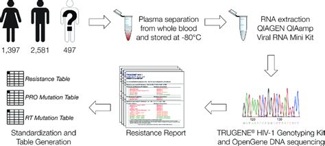 Cohort Sample Analysis And Hiv 1 Genotyping Workflow Used For The