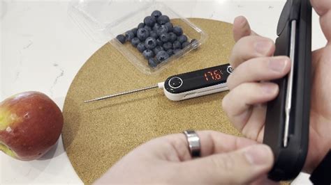 Watch Thermopro Vs Inkbird Feature Demo And Speed Test Thisorthat On