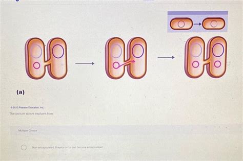 Solved 00−00−00the Picture Above Explains How Multiple