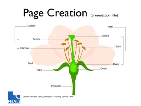 Interwrite Whiteboard Getting Started Pdf Web Conferencing