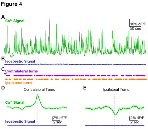 Validation Of Photometry System By Detection Of Behaviorally Aligned