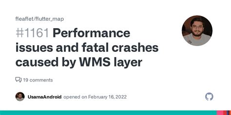 Performance Issues And Fatal Crashes Caused By Wms Layer · Issue 1161