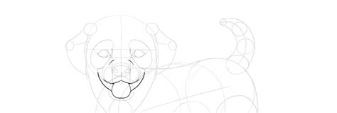 How To Draw A Puppy Envato Tuts