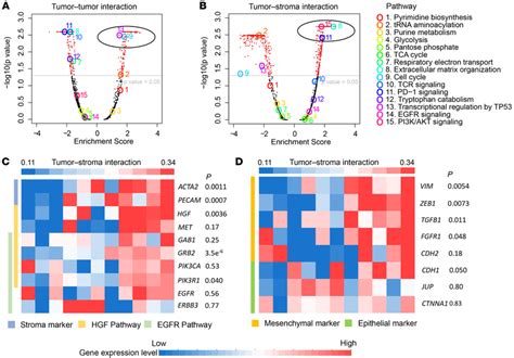 Correlation Between Egfr Tki Survival Benefit Predictive Image Features