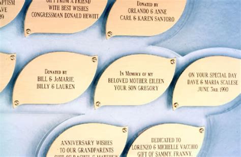 Tree Of Life Cave Company