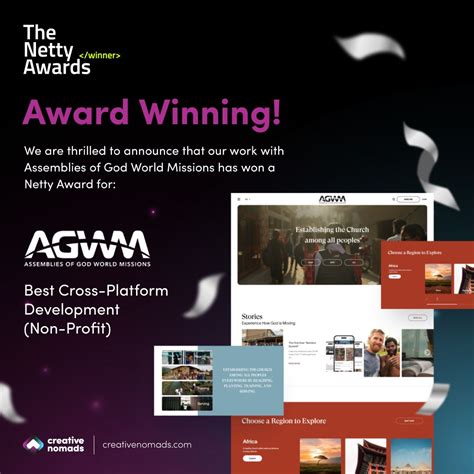 Nettyawards Webdevelopment Nonprofitinnovation Creativenomads