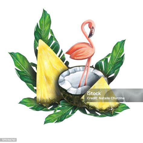 과일 파인애플 조각 분홍색 플라밍고와 열대 바나나 야자수 잎이있는 코코넛 반의 수채화 그림 디자인 엽서 배너 기념품 포스터 인쇄물의 장식 과일에 대한 스톡 벡터 아트 및