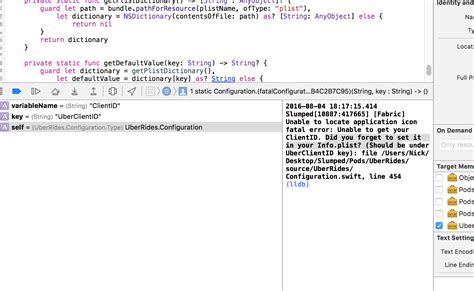 Ios Fatal Error Unable To Get Your Client ID Stack Overflow
