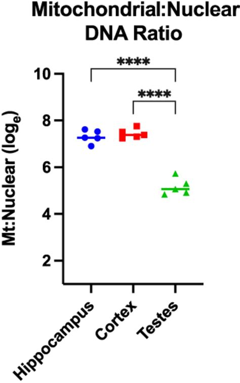 Genome Skimming With Nanopore Sequencing Precisely Determines Global And Transposon Dna