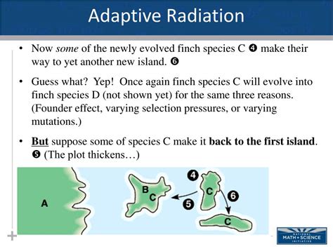 Ppt Macroevolution Part Ii Allopatric Speciation Powerpoint Presentation Id 6718335