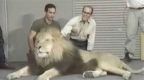 The Lion King Vhs Behind The Scenes Theatrical Release Trailer Youtube