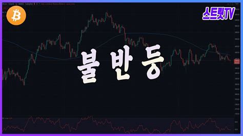 안보면손해 깔끔한 비트코인 시황 및 분석 그리고 마인드셋 Youtube