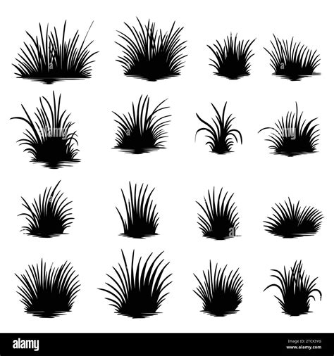 Grass Elements Set Collection Vector Illustration For Your Company Or