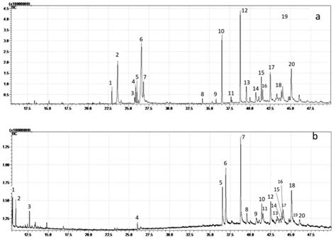 Chromatogram Of Organic Compounds Obtain From Mimba Leaves In A