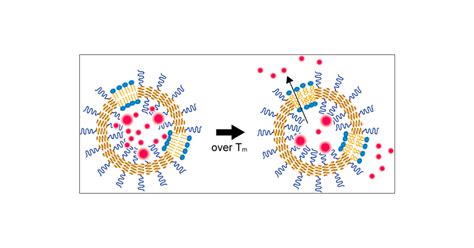 Spontaneous Formation Of Gating Lipid Domain In Uniform Size Peptide Vesicles For Controlled