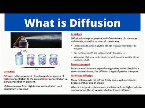 Facilitated Diffusion Examples In Everyday Life Diffusion In Cells